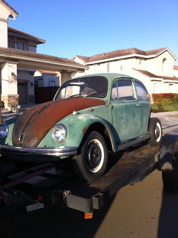 69 VW Bug - Project | Dirt Bike Addicts